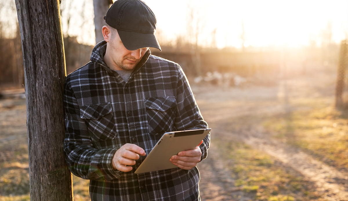Switch Experts Broadband In Rural Areas Of The Uk